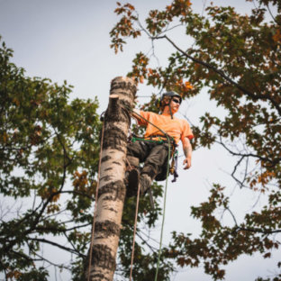 Home - North Tahoe Business Association