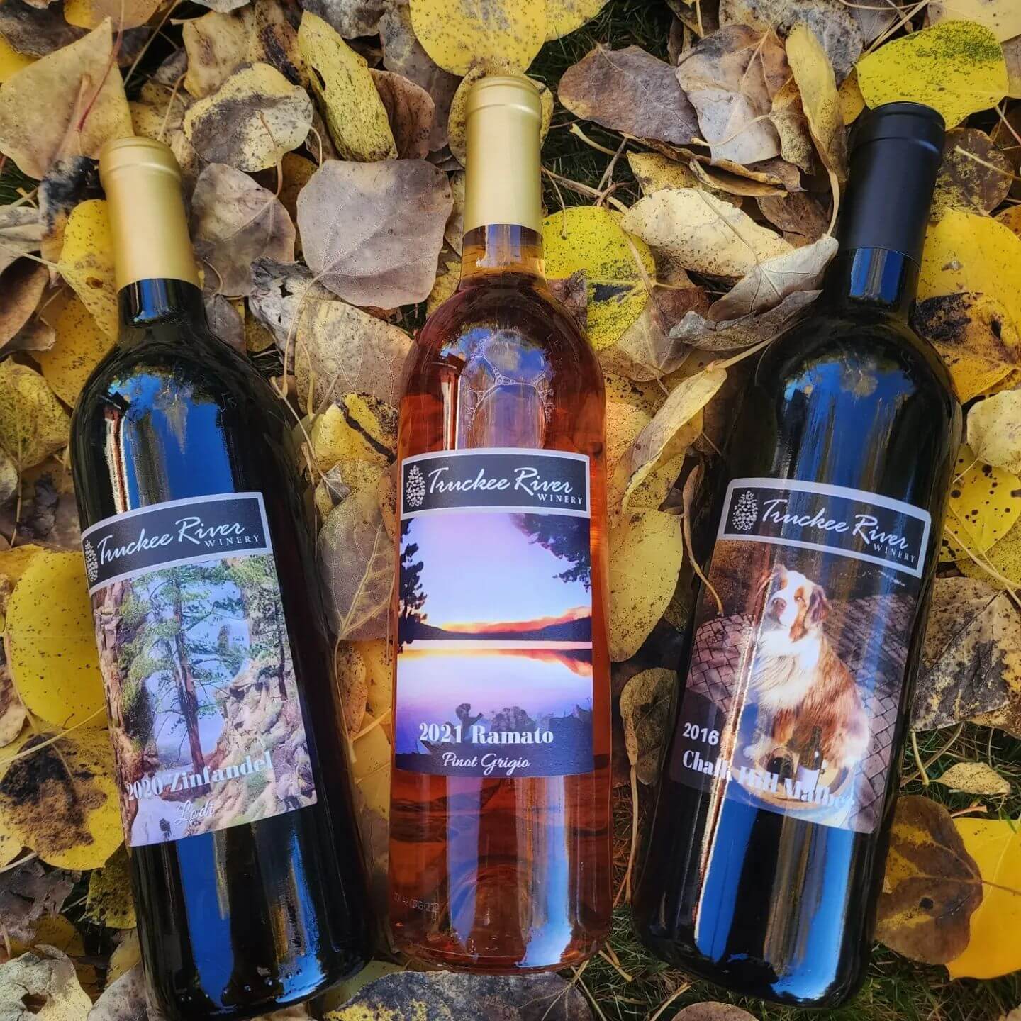 Truckee River Winery Fall Specials - North Tahoe Business Association